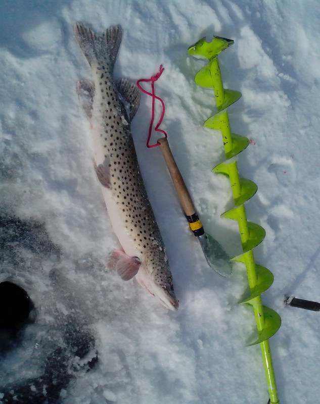 2,600, Зея, март 22 — Postimages