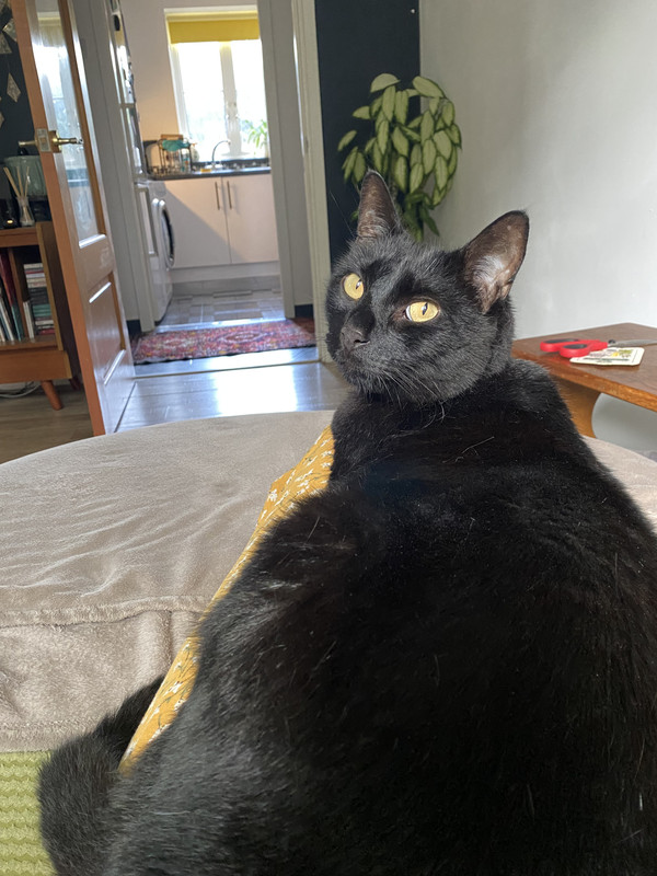 IMG 4523 — Postimages