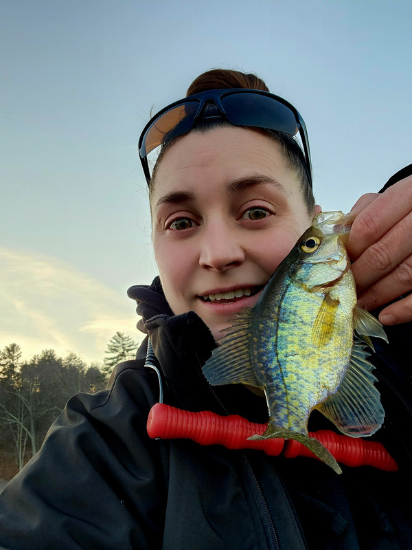 20230110 161416 — Postimages