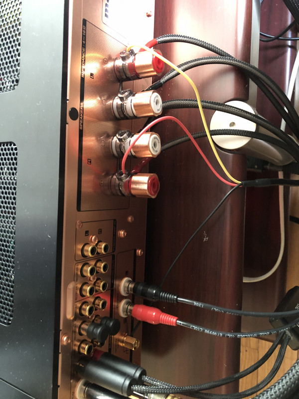 Subwoofer Connection | Steve Hoffman Music Forums