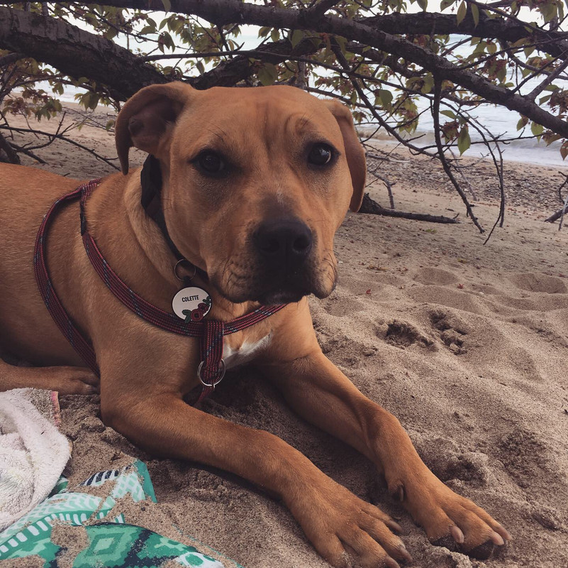 3967 BE94 4716 44 D6 8 D43 878 CEE44852 D — Postimages