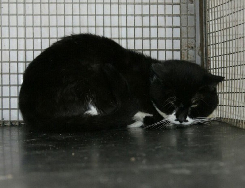 3e M5 AJ7 Ex64 — Postimages