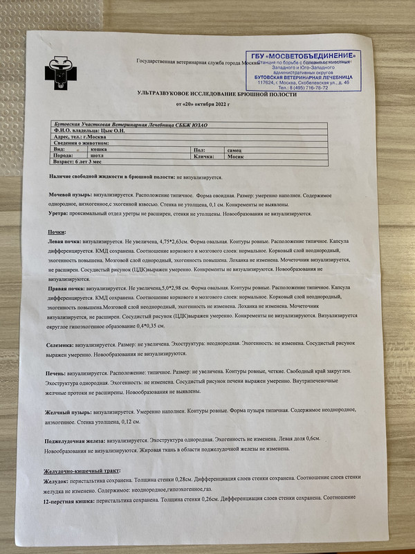 00027597 E951 4516 A3 AA F5189 F53 E173 — Postimages