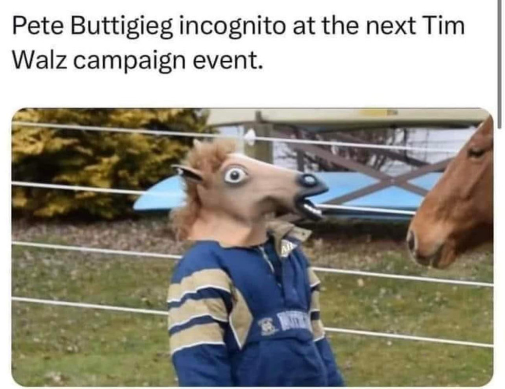 20240808 210225 — Postimages