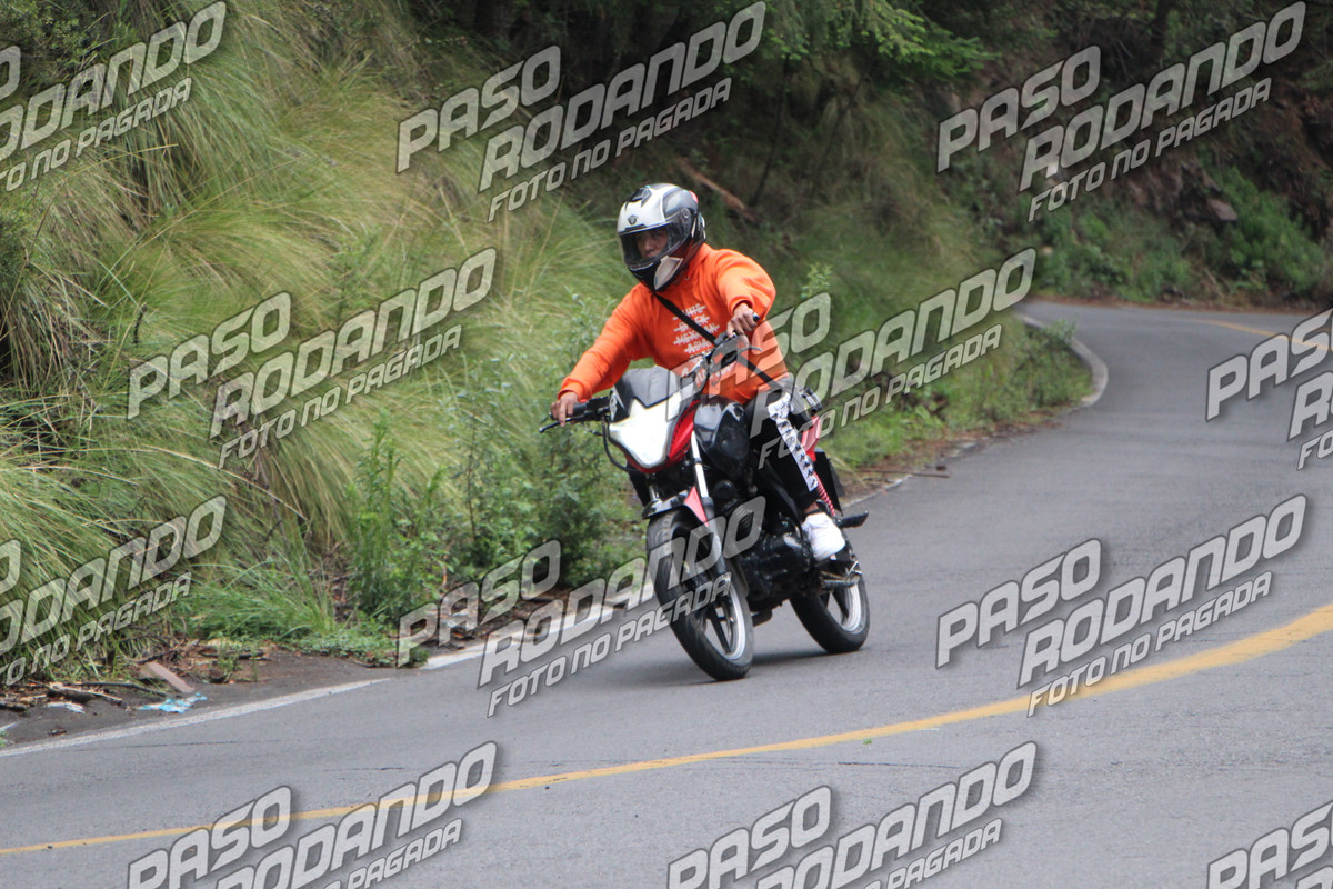 IMG 8350 wm 110961 5 watermarked — Postimages