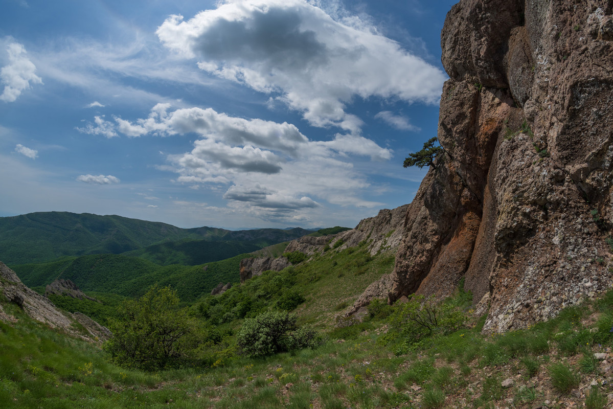 V0002786 1600 — Postimages