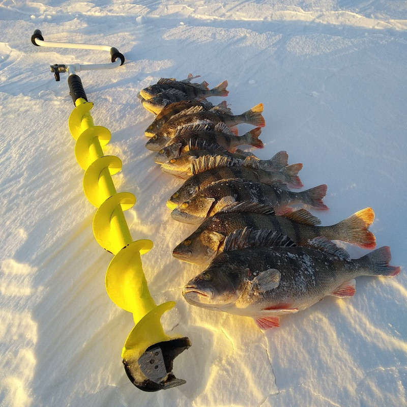 IMG 20230121 224310 389 — Postimages