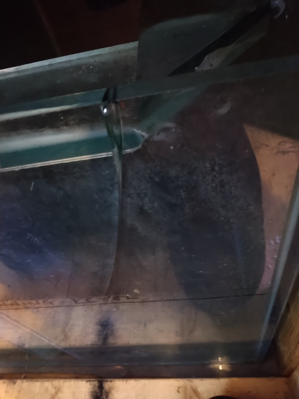 DSC 0474 — Postimages