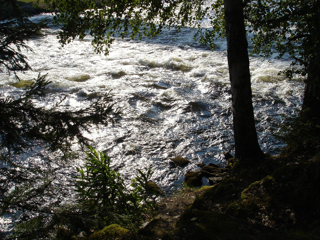 DSC07816 — Postimages