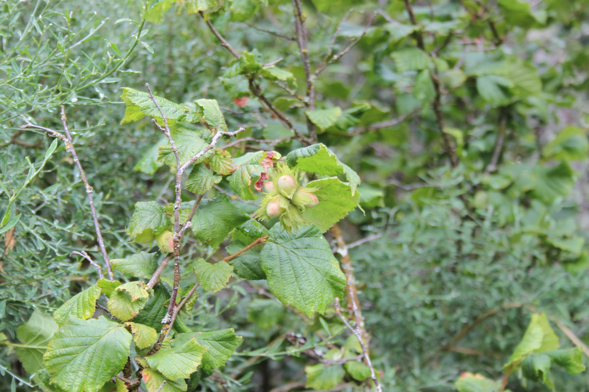 IMG 9136 — Postimages