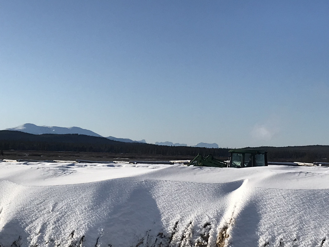 IMG 0838 — Postimages