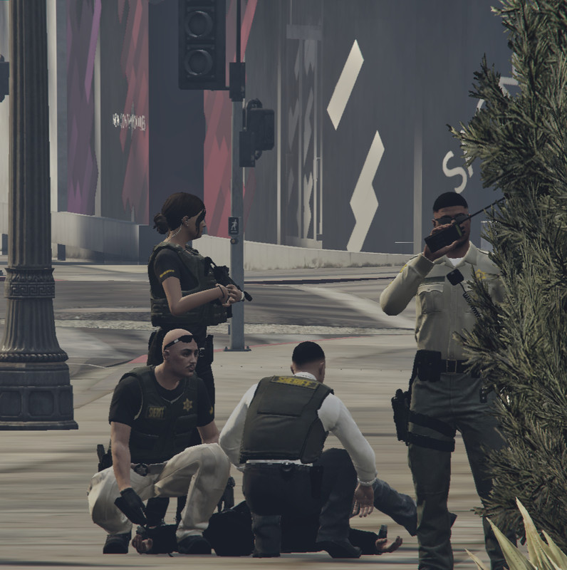 [Blog/Vlog] Andrew Dyer | Stringer - Journalist | Los Santos Insider ...