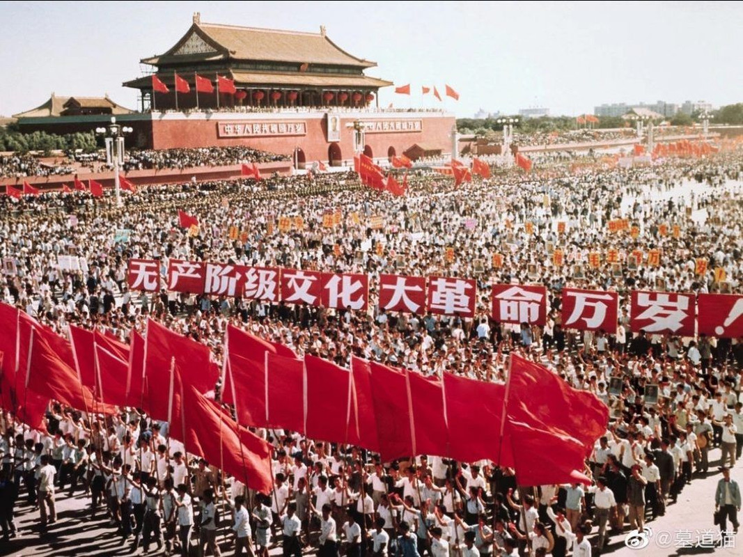 8 CCB8922 CD4 CB558 A9 A7 AA4 DC1 EBA34 D — Postimages