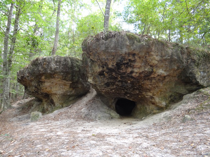 free range, grass fed - Chapter 2 - Another_Freak1258 - Original Work ...