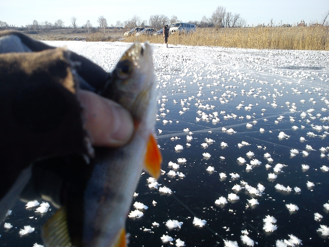 DSC00106 — Postimages