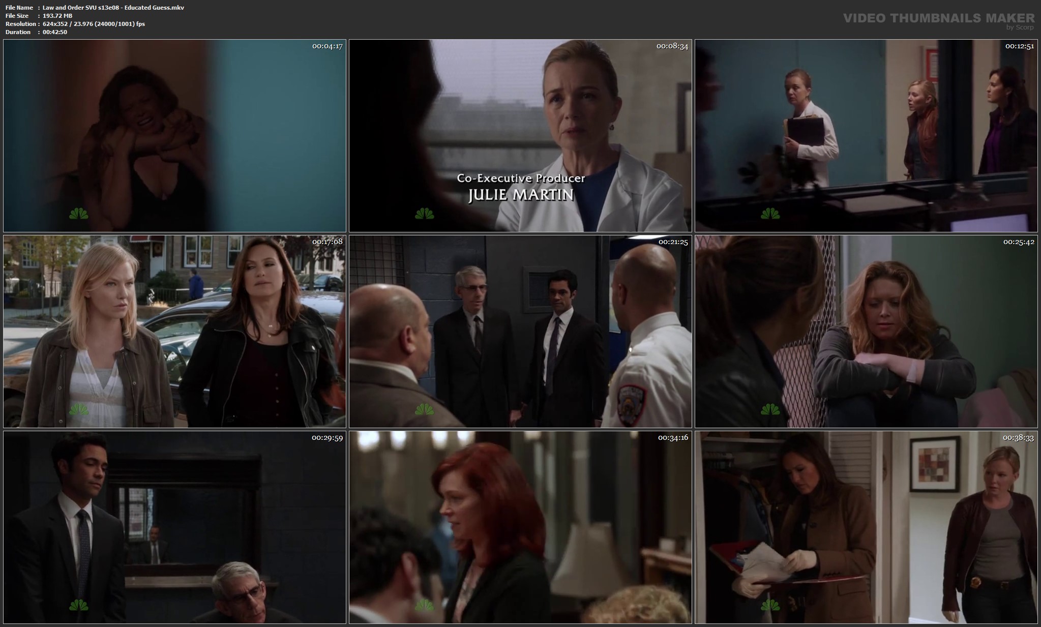 Law and Order SVU s13e08 Educated Guess mkv — Postimages
