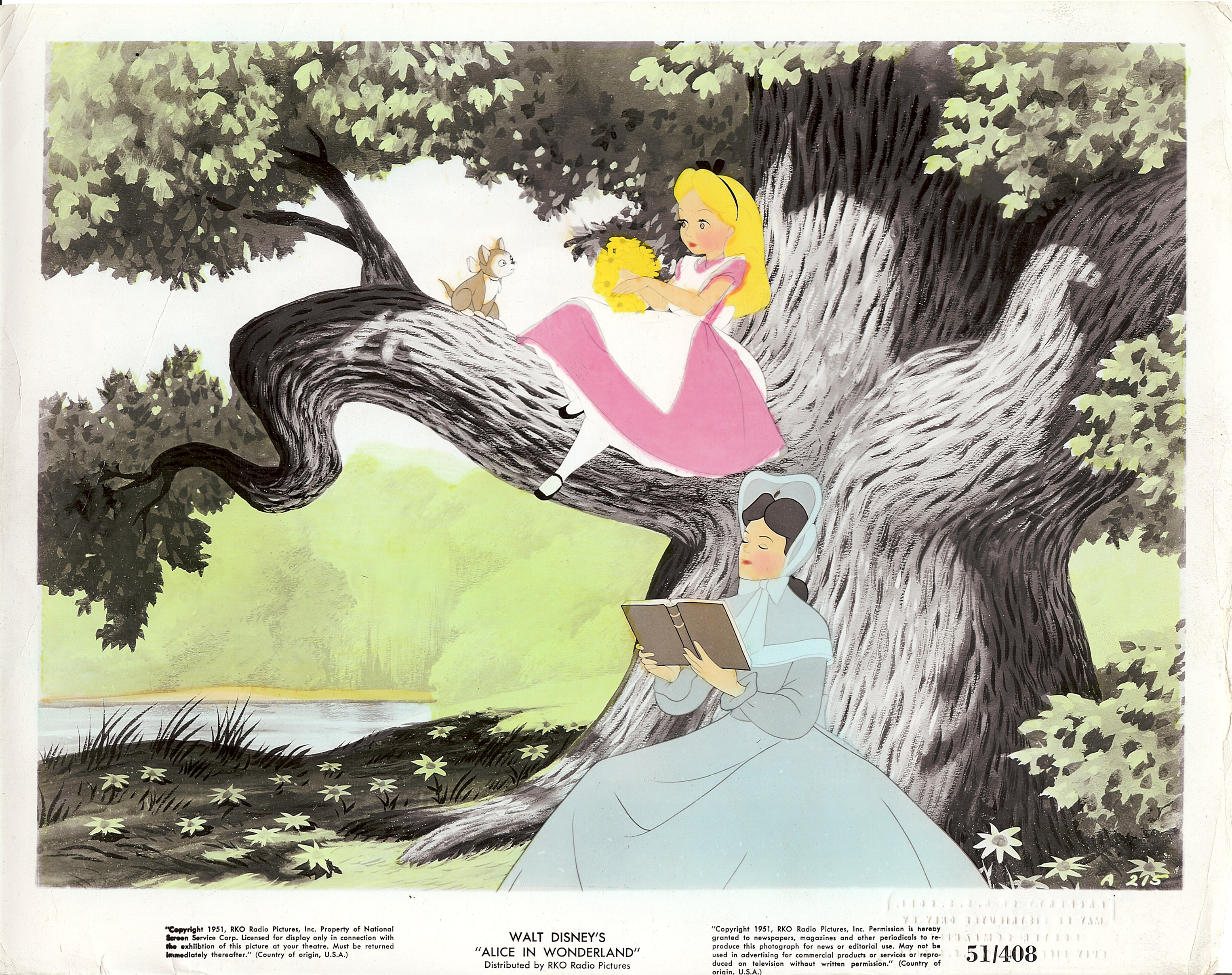 US NSS Color Glos a 215 1951 — Postimages