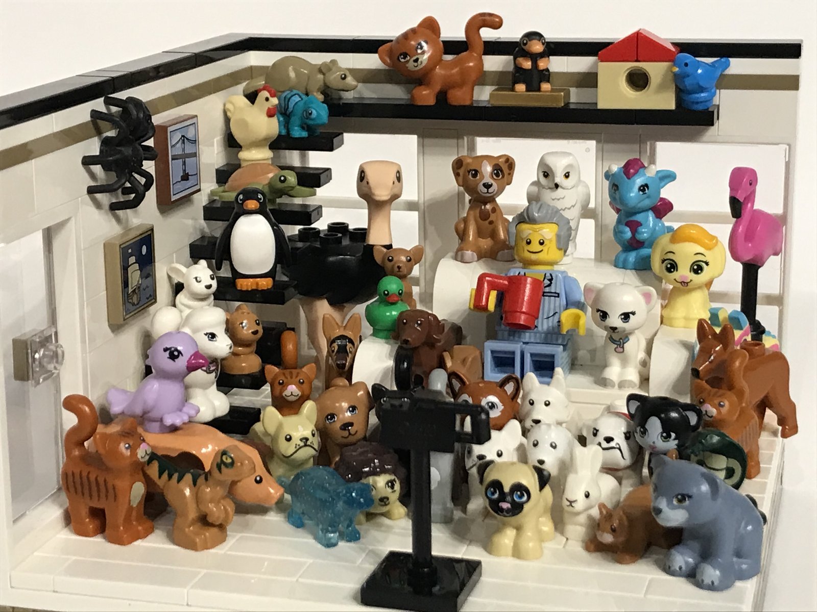 63 FA016 F A153 410 C BDBB C78223 FCBEC1 — Postimages