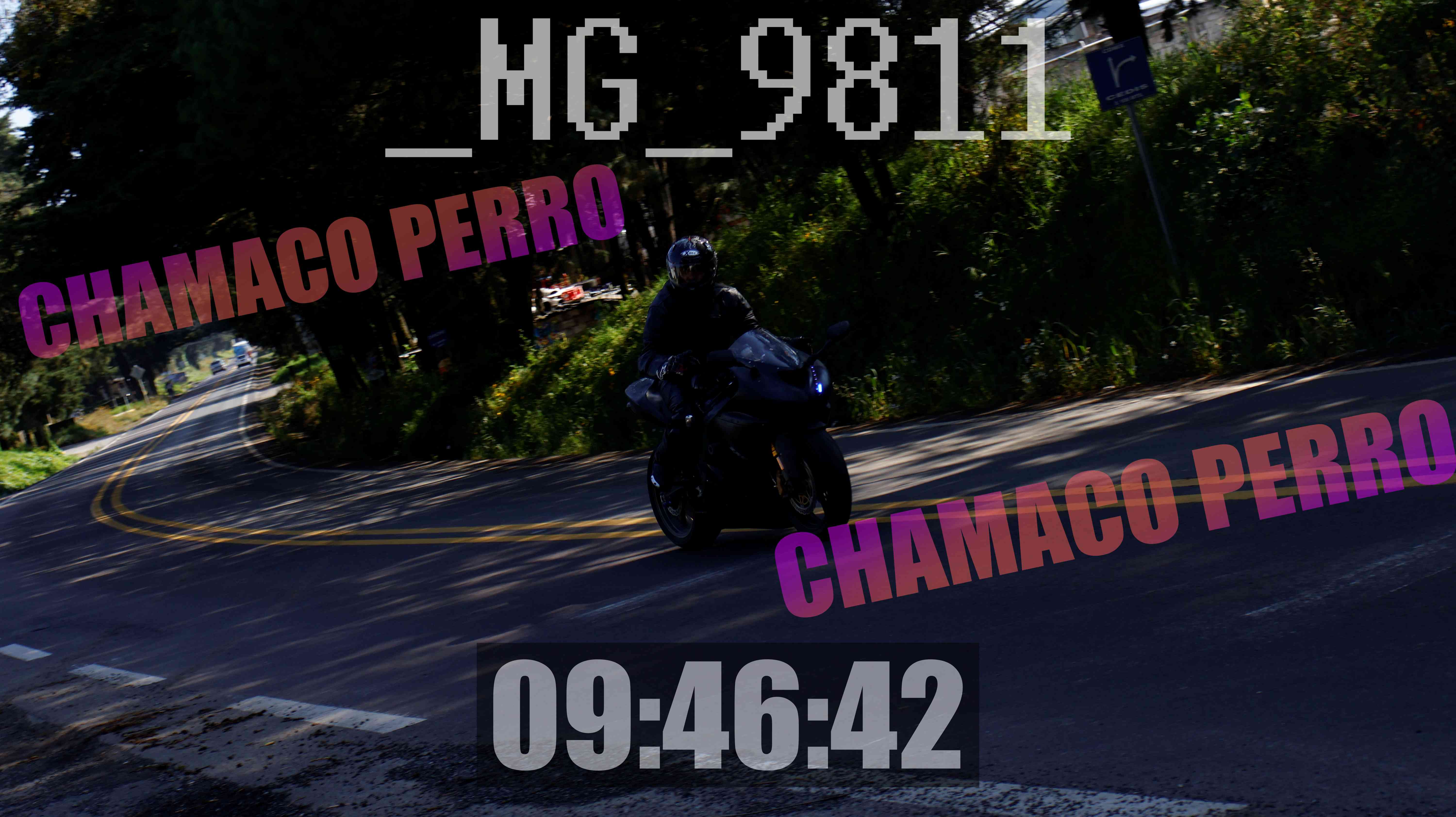 MUESTRA MG 9811 — Postimages