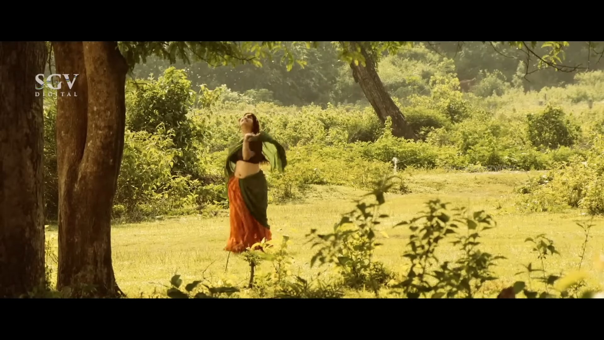 Shubha Poonja Sexy Navel and boobs in Half saree kranti mp4 snapshot 00 25 601 — Postimages