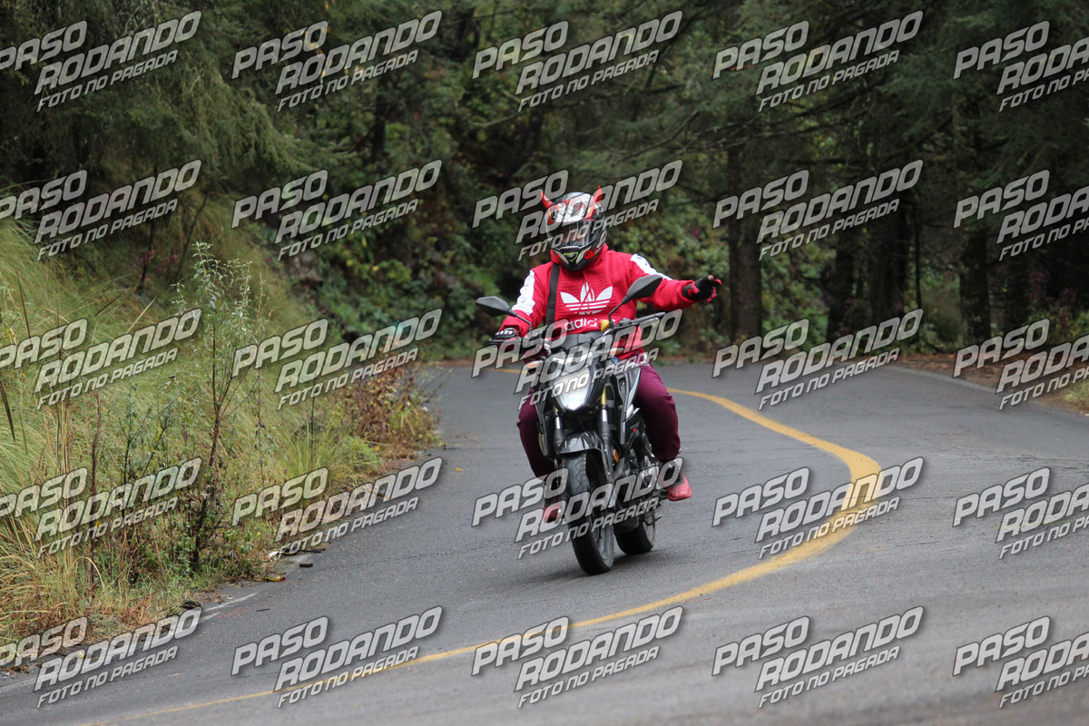 IMG 9248 — Postimages