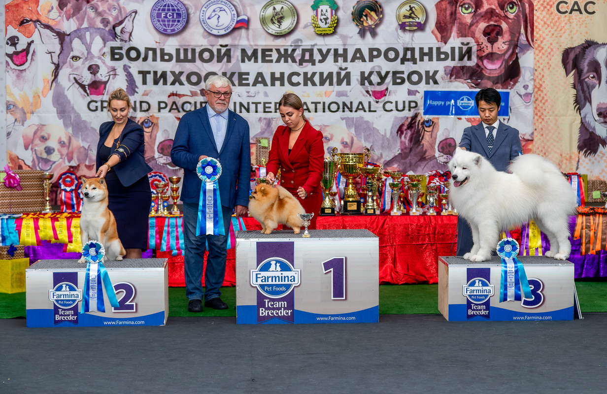 30 1249 — Postimages