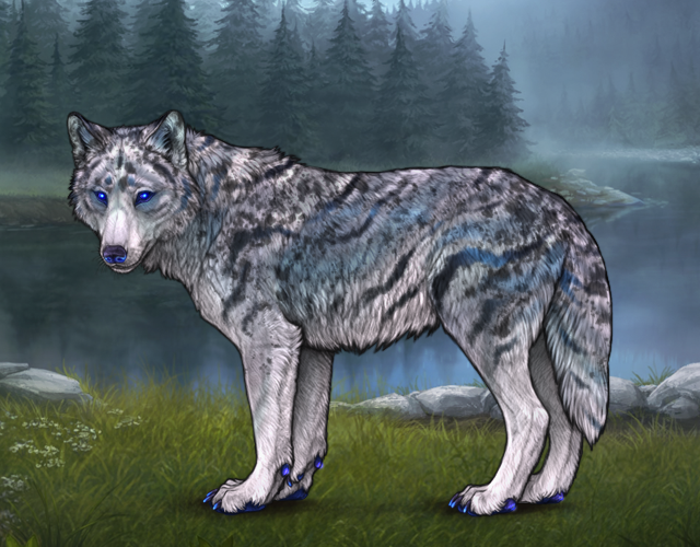 Chased Wolves record From Eiderdown |:| Wolvden