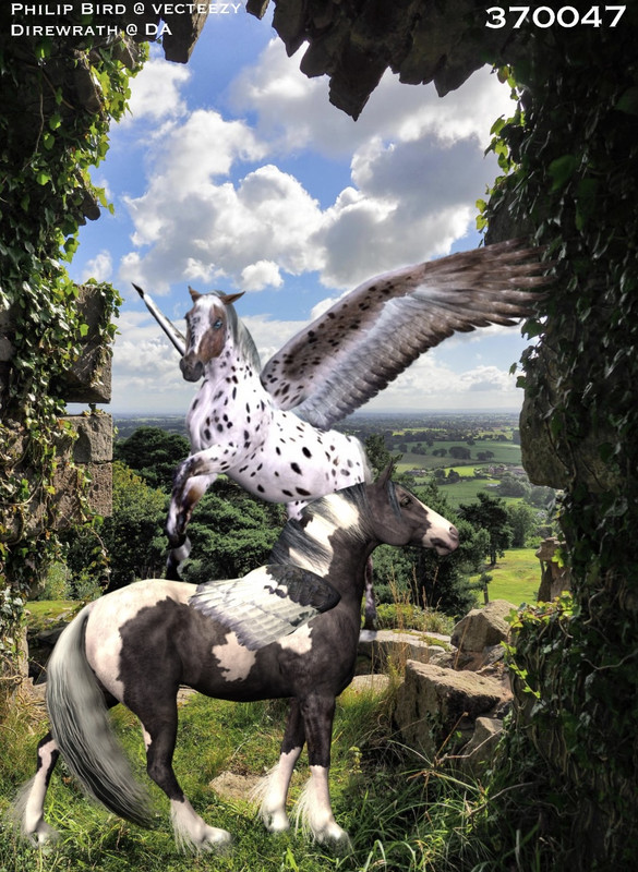 IMG 1663 — Postimages