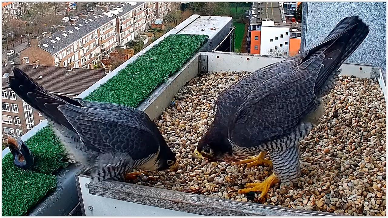 Screen Shot 03 14 23 at 09 18 PM — Postimages