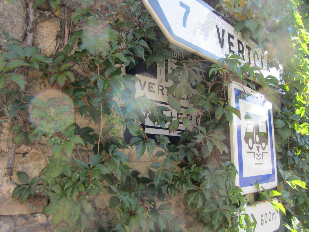 IMG 3274[1] — Postimages