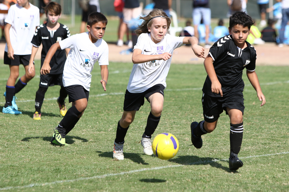 VIK 9783 — Postimages