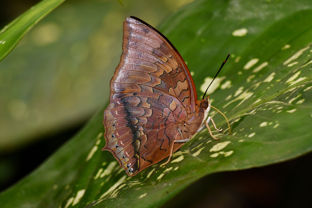 DSC 0767 — Postimages