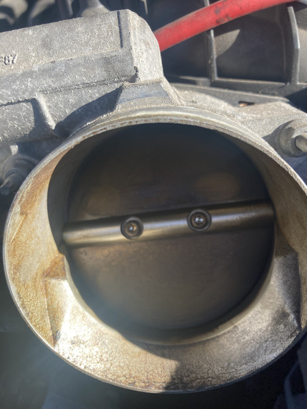 IMG 3316 — Postimages