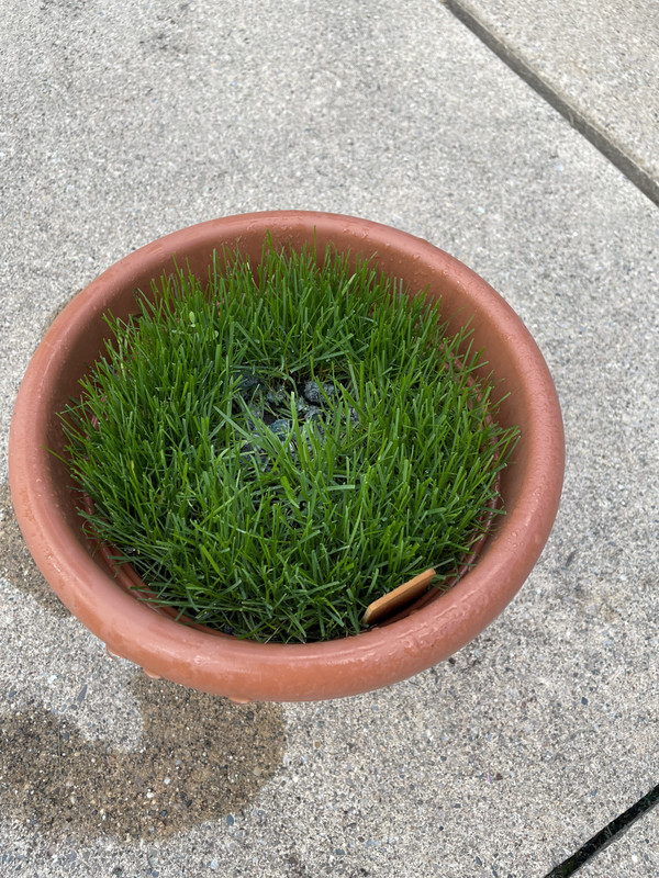 FB8 DE98 A 905 A 4 D57 8361 C3 B8950 BB2 B6 — Postimages