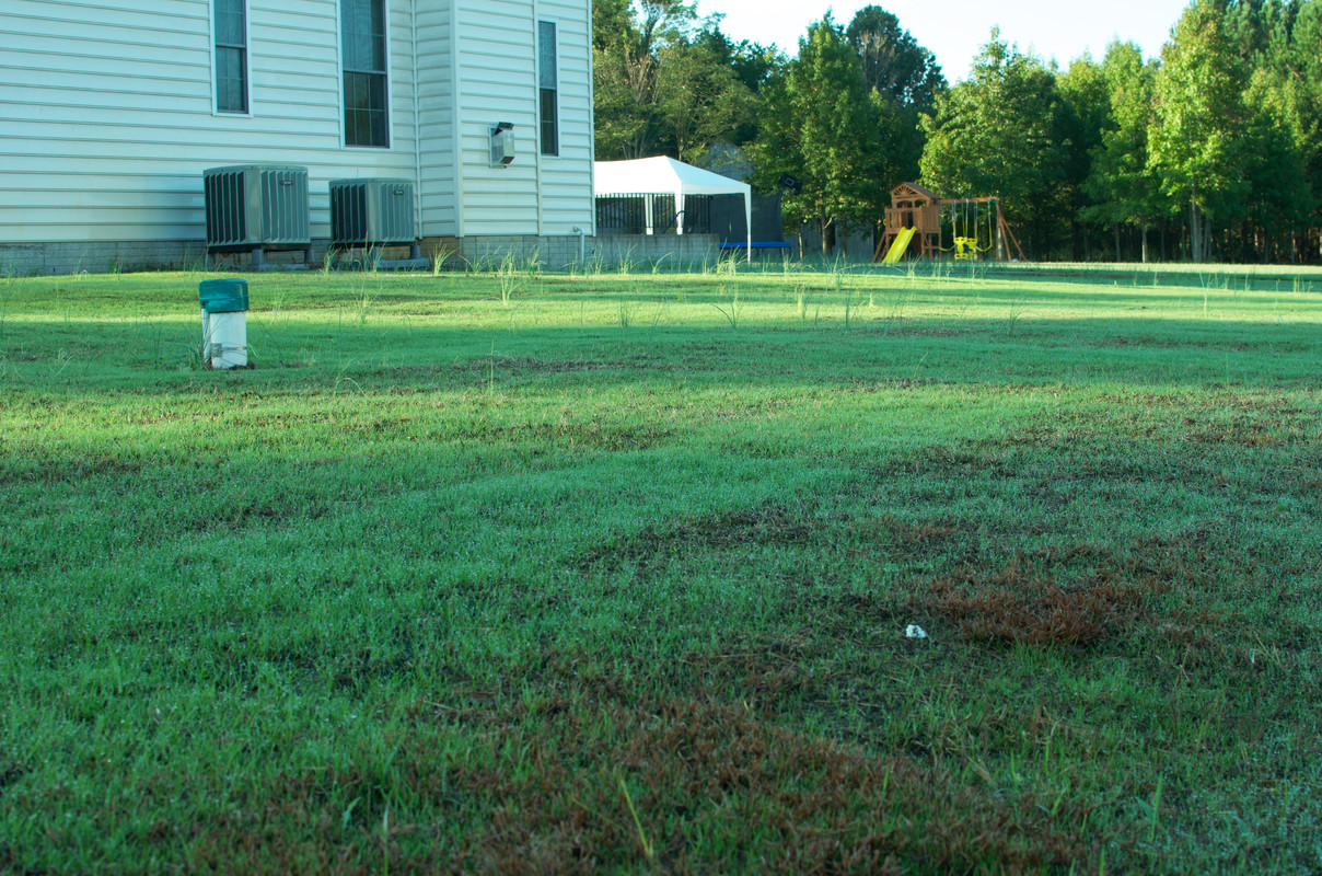 Manny's Lawn Journal - Updated Thru 24 | Lawn Care Forum