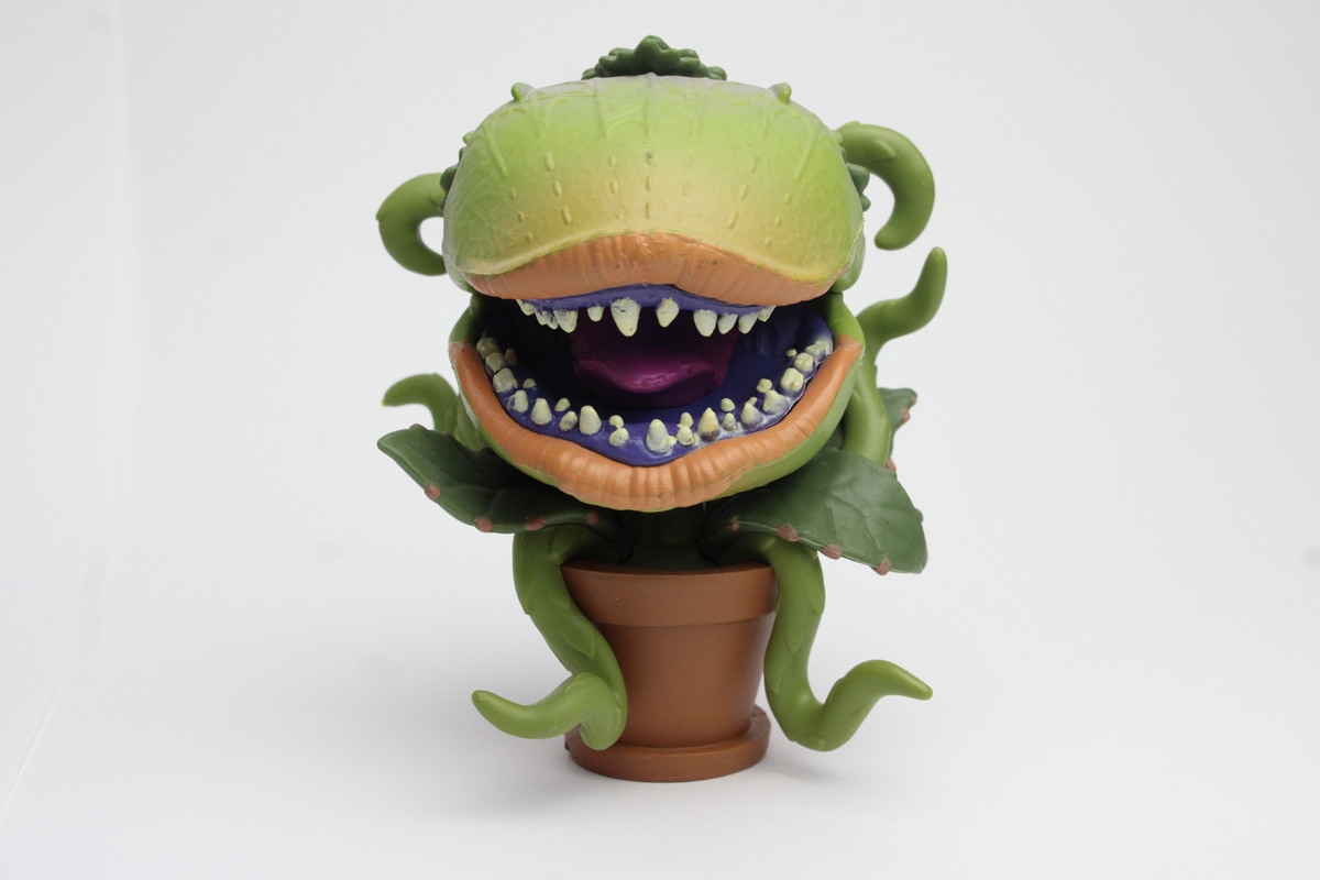 IMG 4615 — Postimages