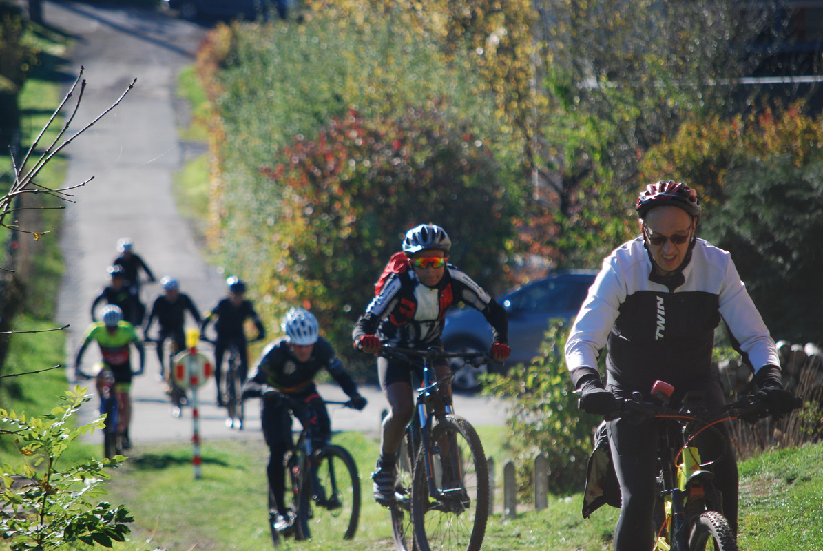 dimanche (441) — Postimages