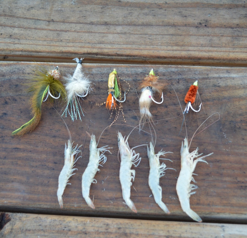 Screenshot 20230907 215752 Gallery — Postimages