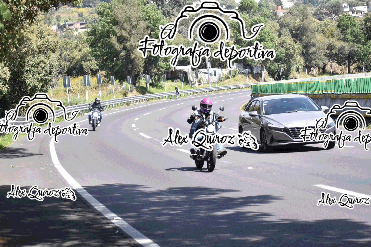 AVQ 1510 — Postimages