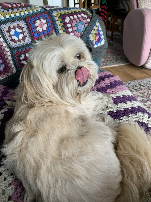 Image — Postimages