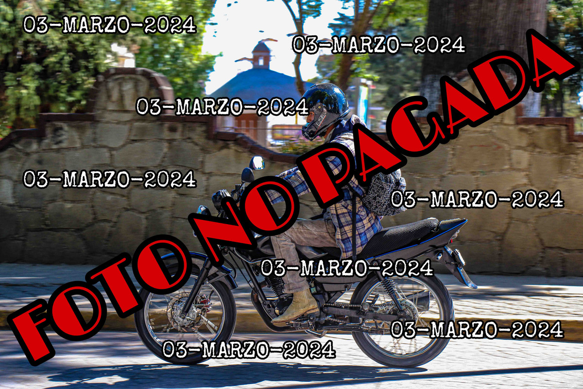 CV 133 — Postimages