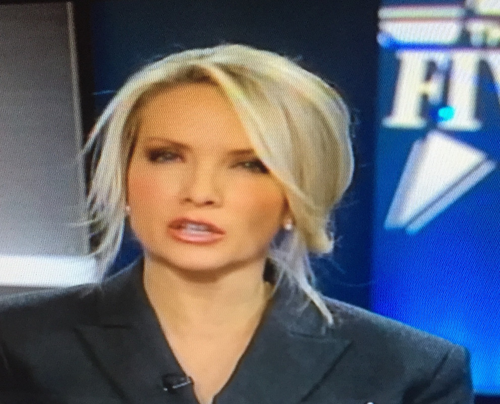 Is it just me, or is Dana Perino > General Discussion > AR15.COM