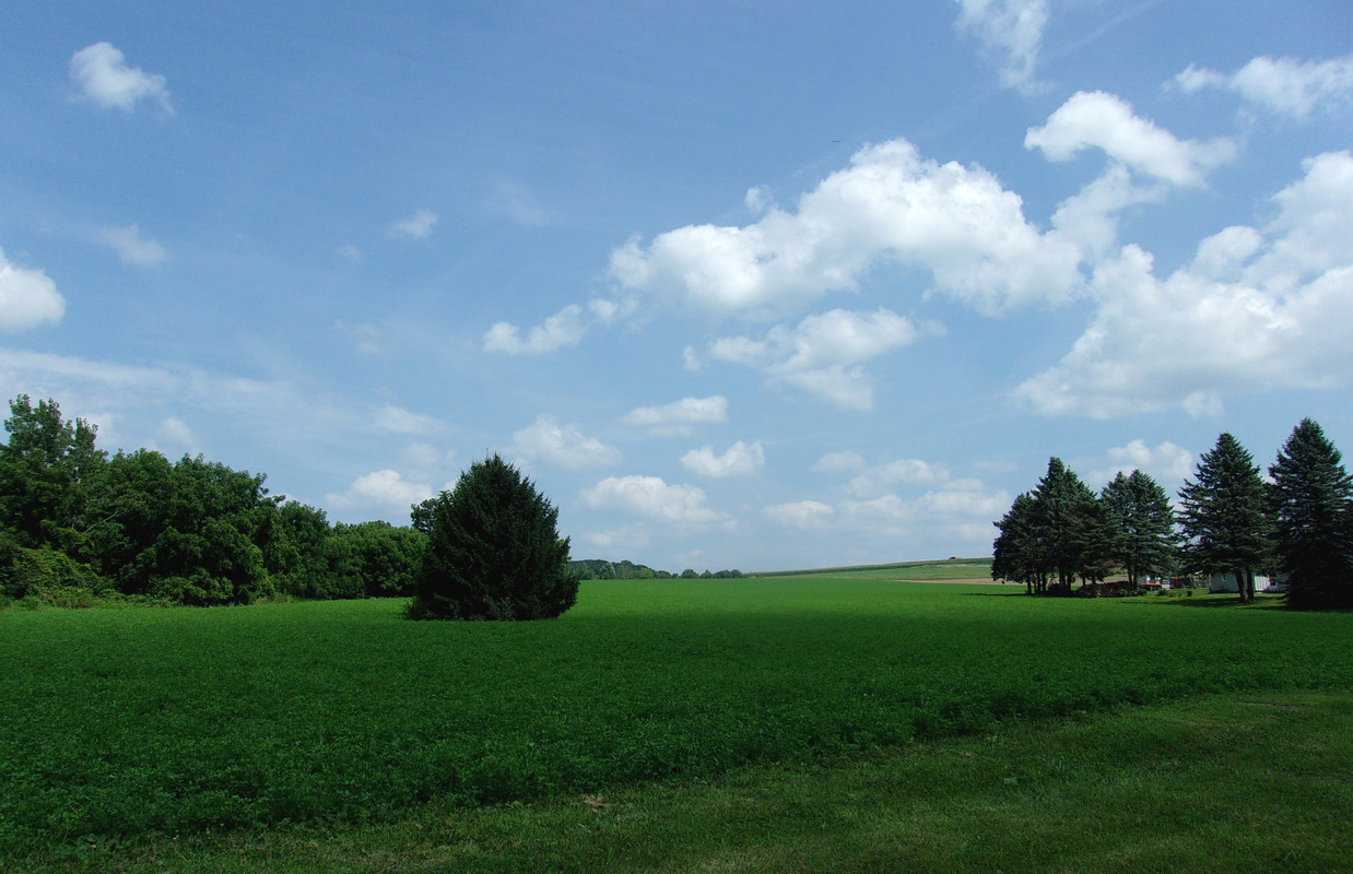 RunningAHEAD - Topic: August - Run in the sun, pray for some shade