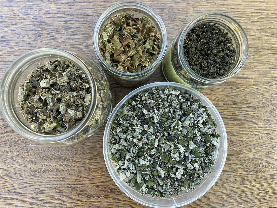 IMG 2742 — Postimages