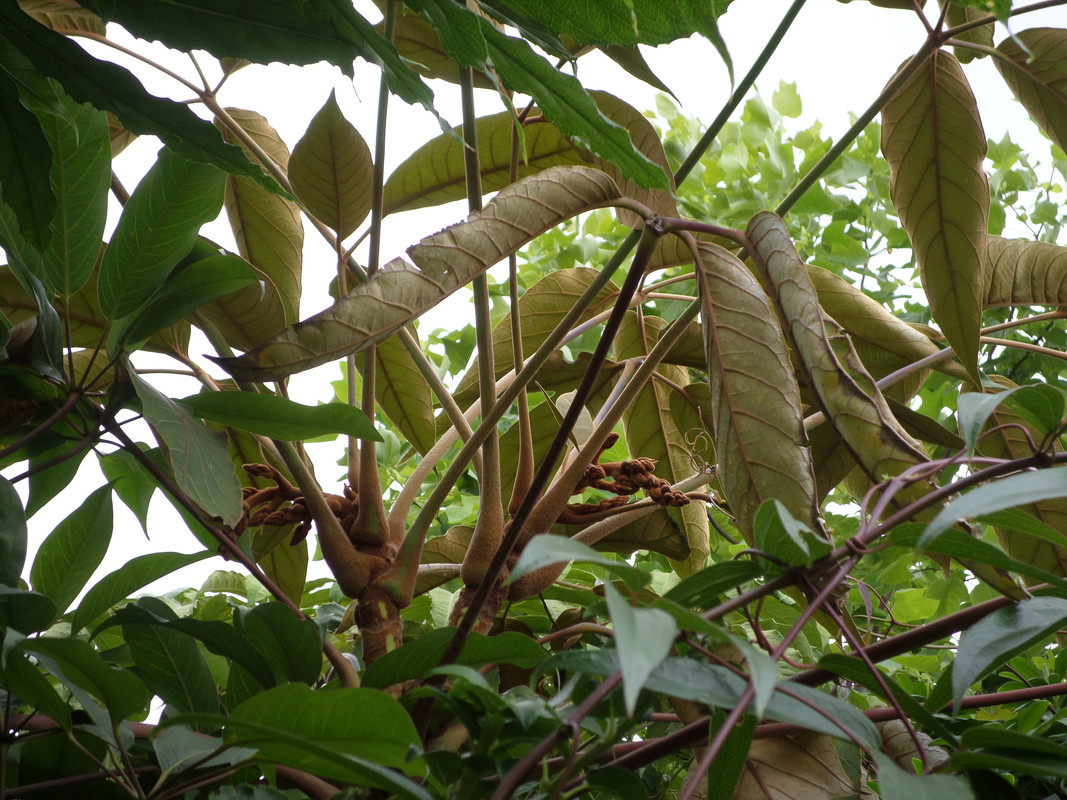 SAM 3523 — Postimages