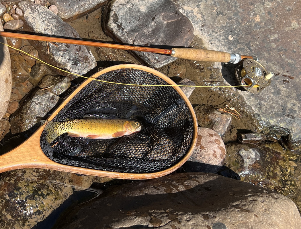 Cutthroat with Alexander 125 Reel — Postimages