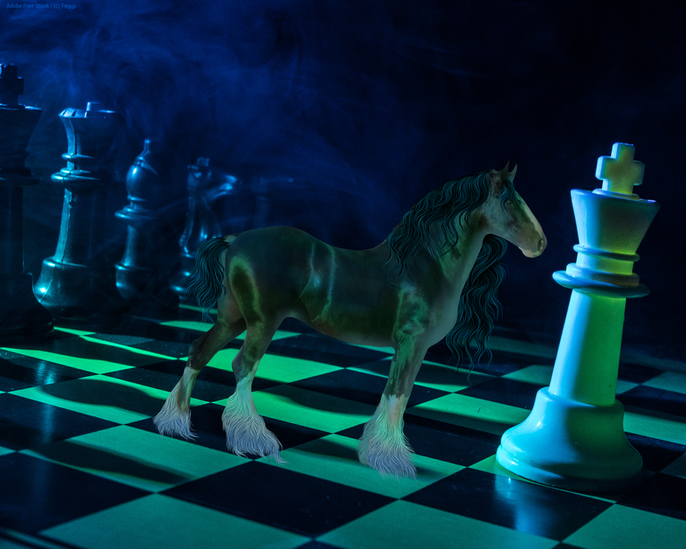 Horse Eden : Chess Chook