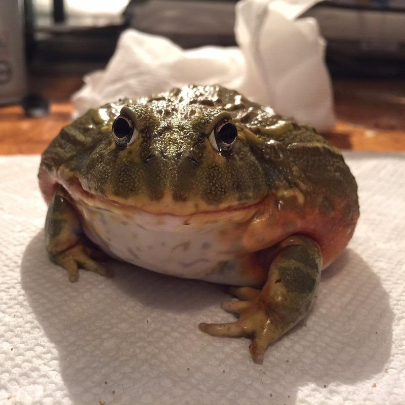 Is this against the rules?