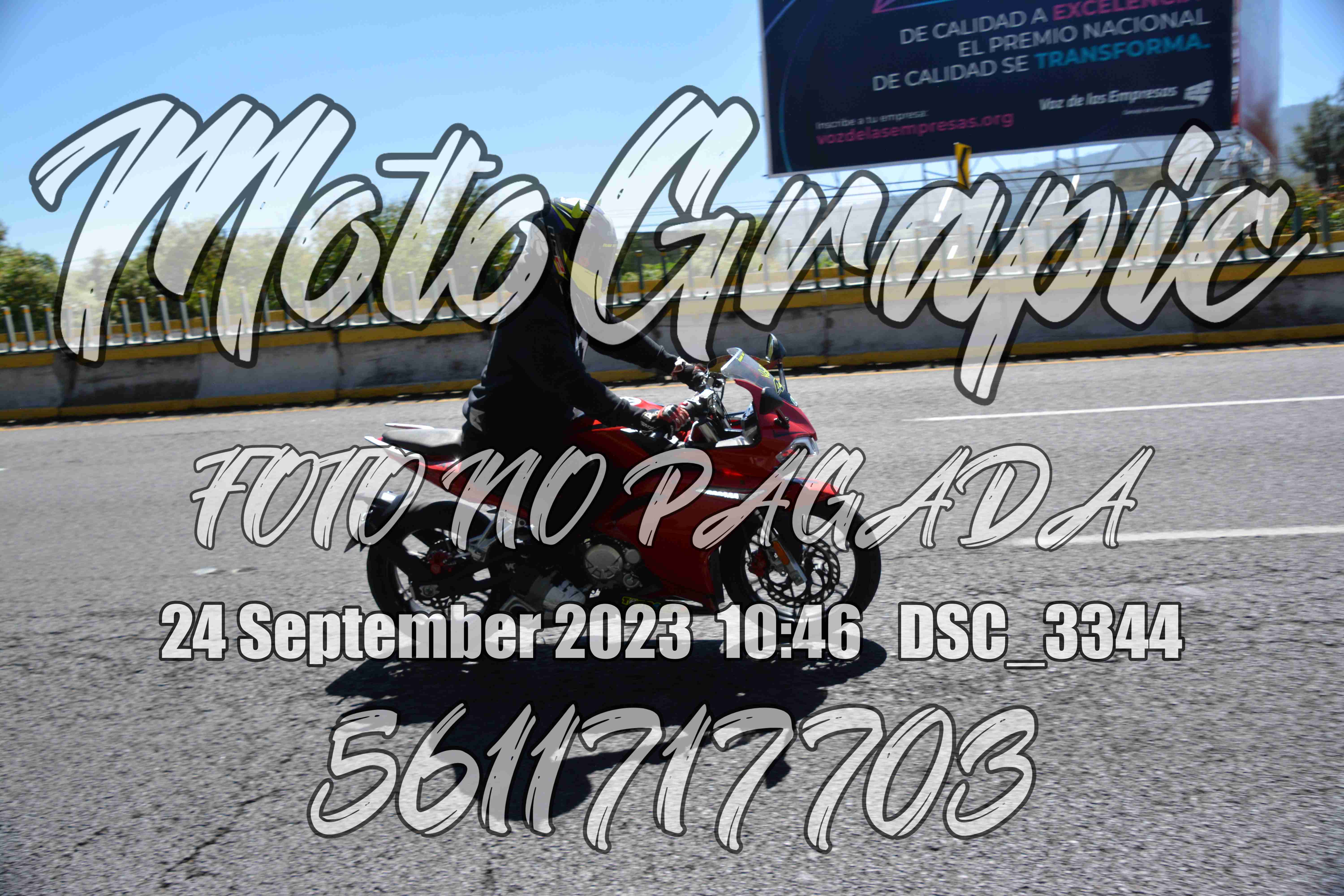 motgr DSC 3344 — Postimages