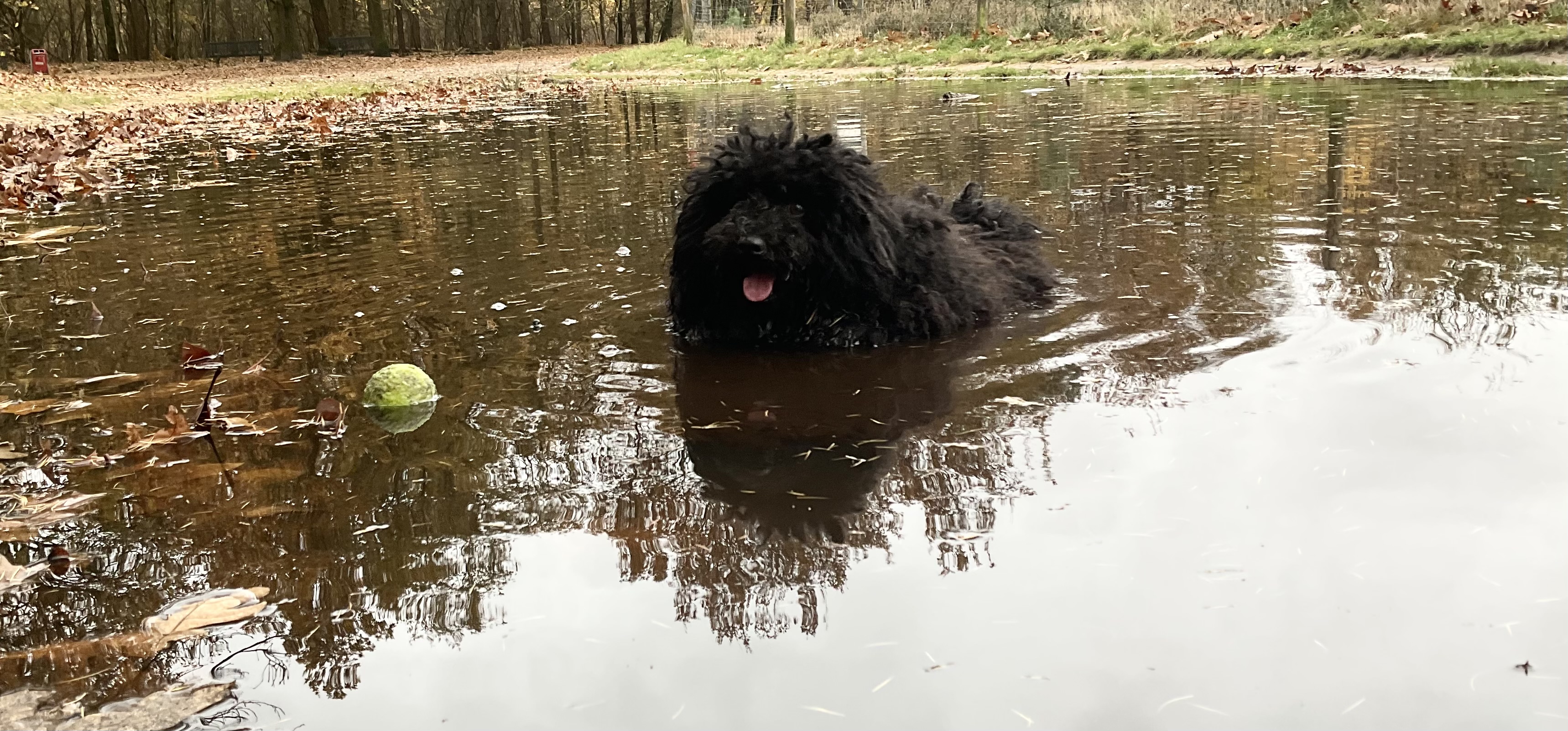 IMG 2337 — Postimages